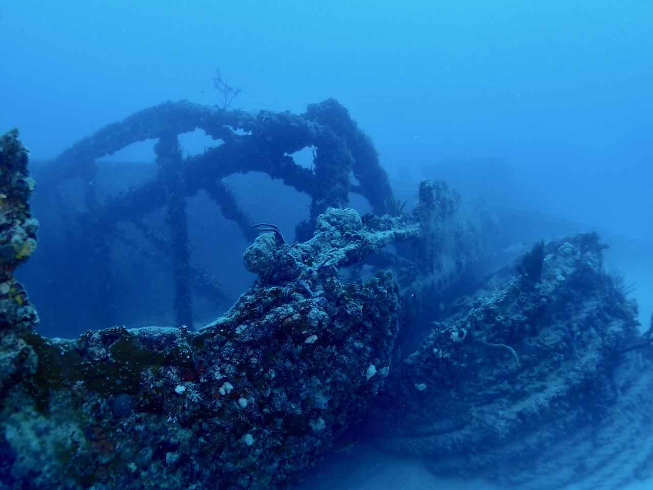 Diving Belcher Barge off South Beach in Miami - Freedom Tour Travel
