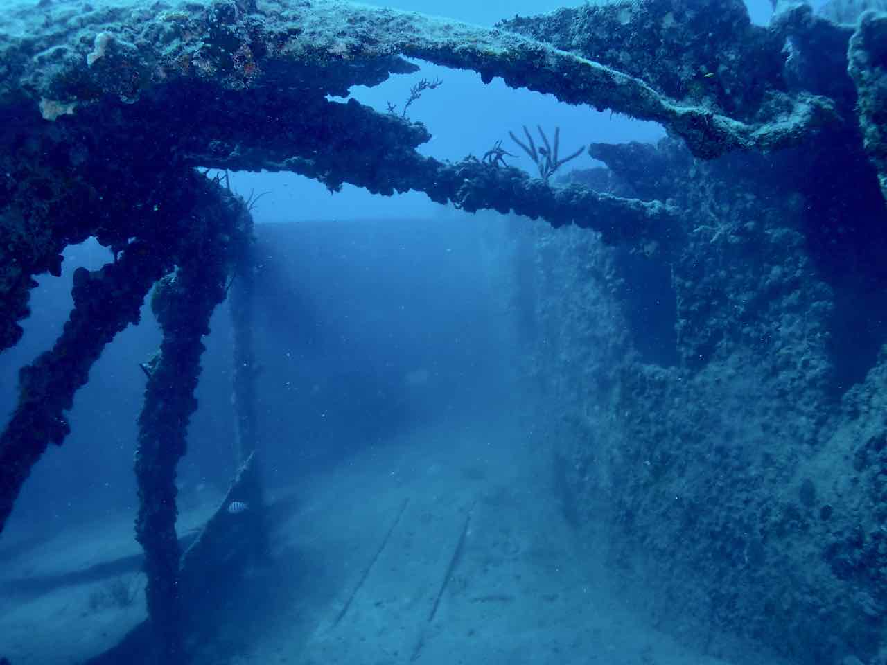 Diving Belcher Barge off South Beach in Miami - Freedom Tour Travel