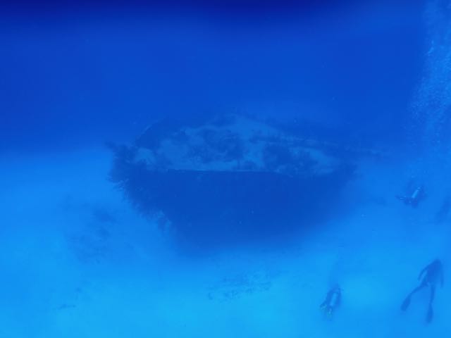 4-Day Cruise to The Bahamas for a Bit of Scuba Diving - Freedom Tour Travel