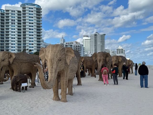 The Great Elephant Migration on Miami Beach - Freedom Tour Travel